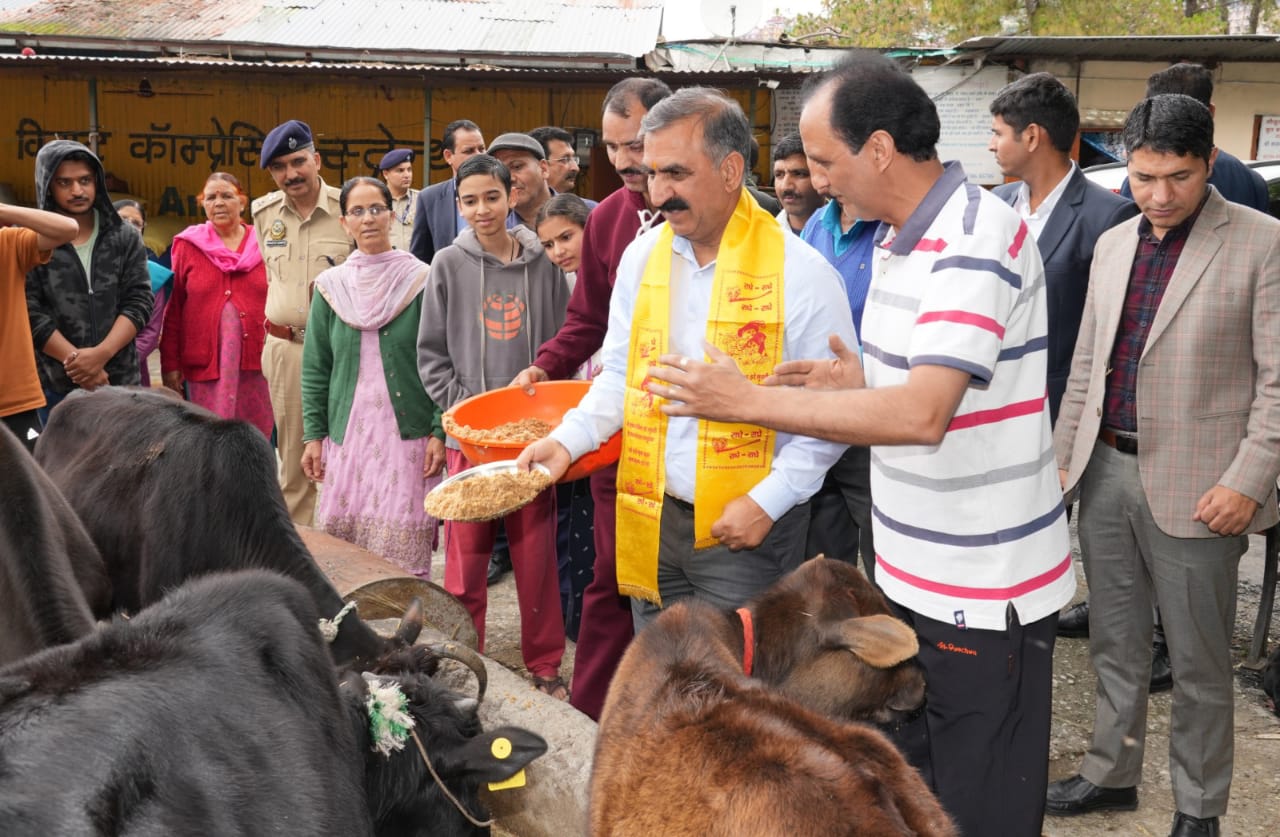 State Government emphasizing rescue of stranded animals :CM - Himachal ...
