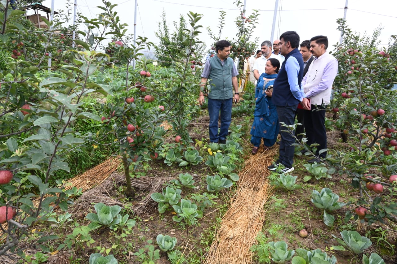 Horti Secy visits apple orchard revived by natural farming technique in ...